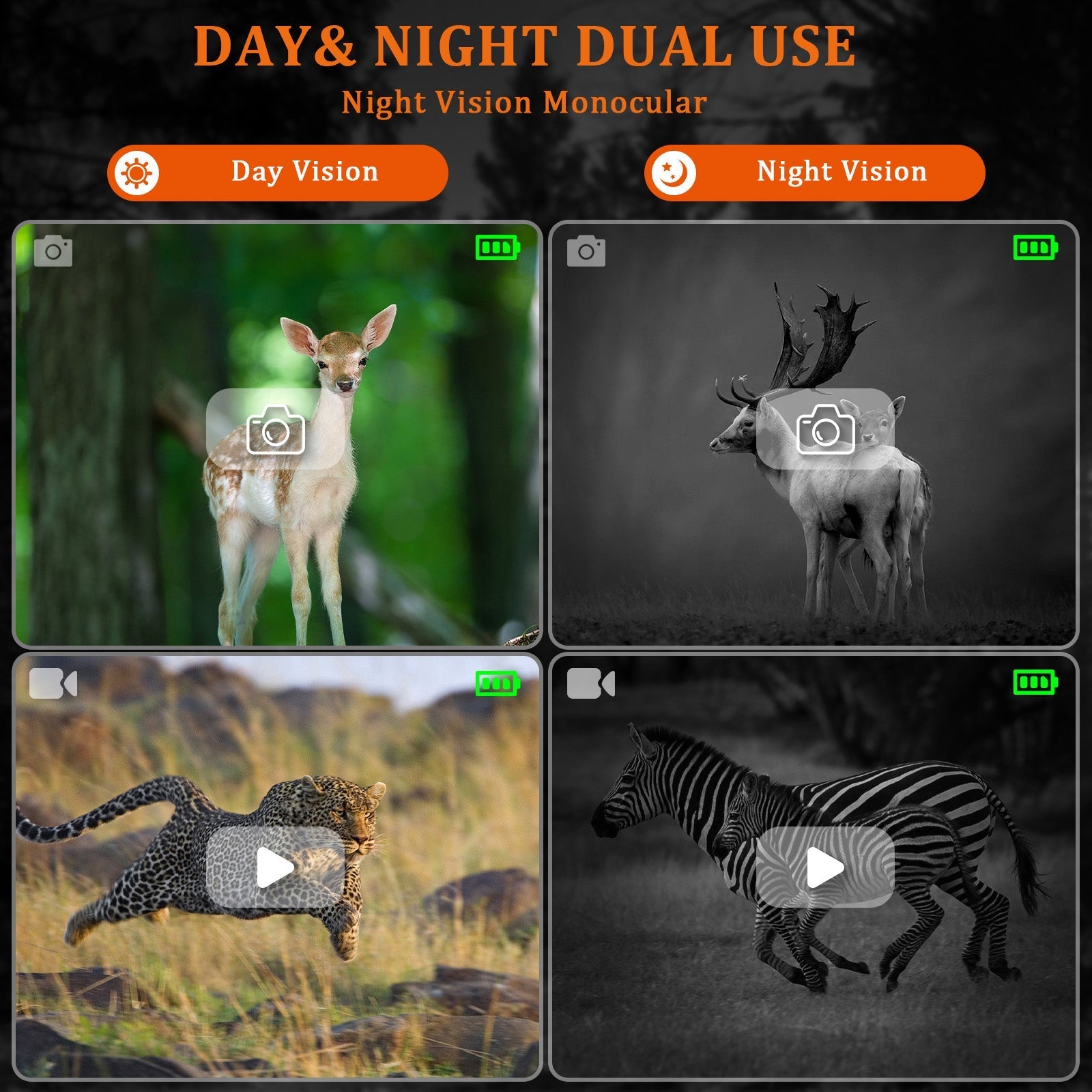 Digital vs Analog Night Vision Differences - Technology Comparison 2024 ...